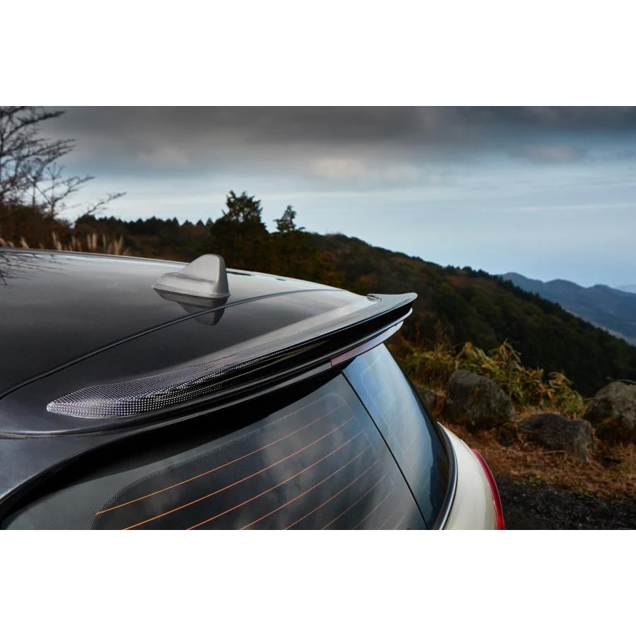 Evasive Motorsports: 3D Design CFRP Roof Spoiler - Mini F54 John Cooper ...