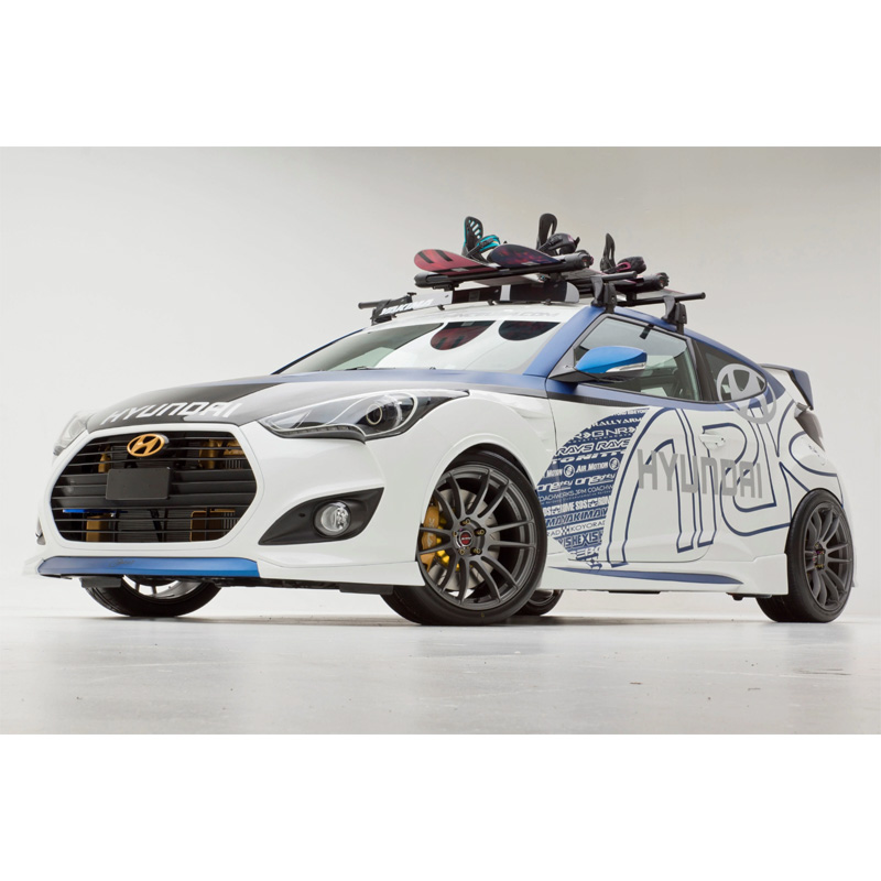 Evasive Motorsports: ARK Performance C-FX Side Skirts (Fiberglass ...