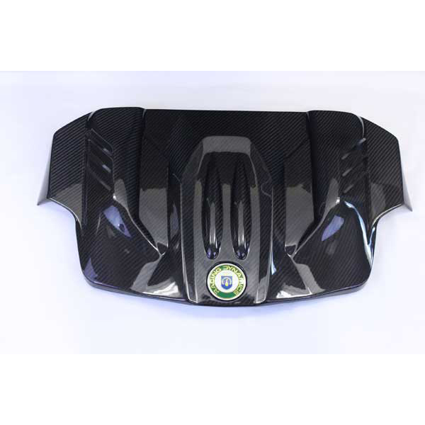 Evasive Motorsports: Racing Dynamics Carbon Engine Cover - BMW M5 (F10 ...