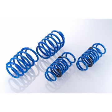 Evasive Motorsports: Suspension