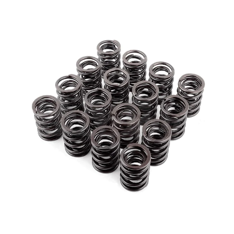 Evasive Motorsports: Buddy Club Racing Spec Valve Springs - Honda ...