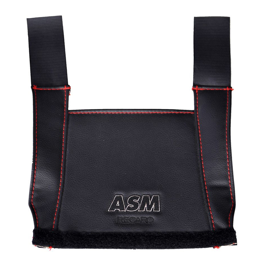 Evasive Motorsports: Recaro ASM Limited II Seat Side Protector (ASM ...