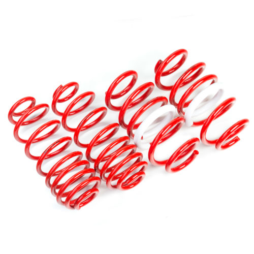 Evasive Motorsports: AST Lowering Springs - Honda Civic Type R FK8 06/17-21