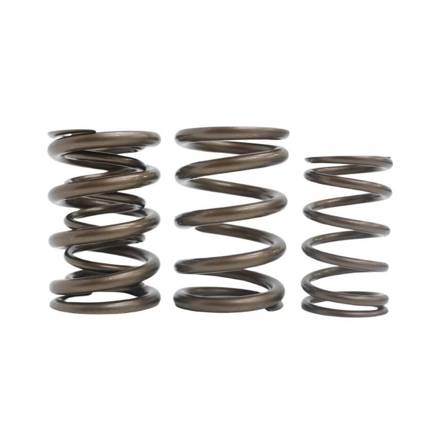 Evasive Motorsports: Kelford Racing Dual Spring Set - Nissan SR16VE ...