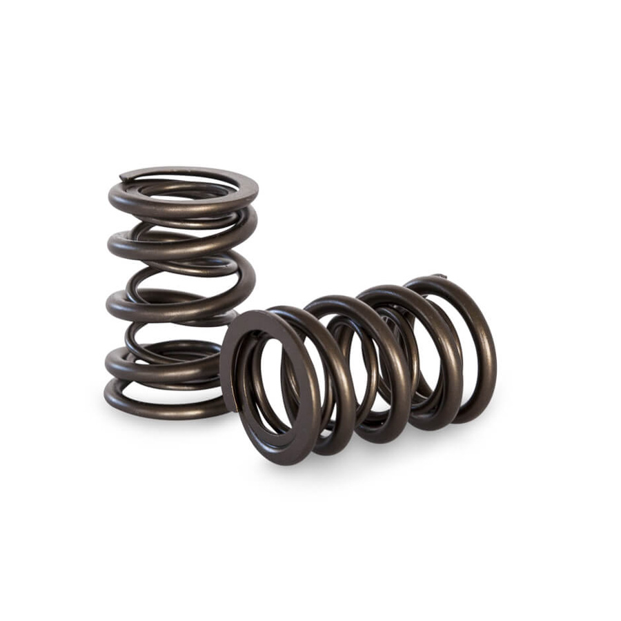 Evasive Motorsports: Kelford Pacaloy Dual Valve Spring Set - Ford 109E ...