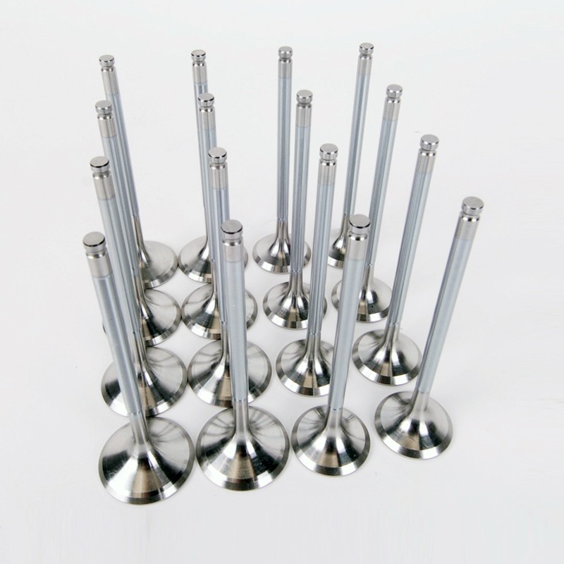 Evasive Motorsports: Skunk2 Alpha Series Valve Set - Honda H-Series ...