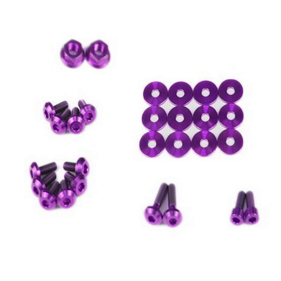 Hyundai Veloster Purple